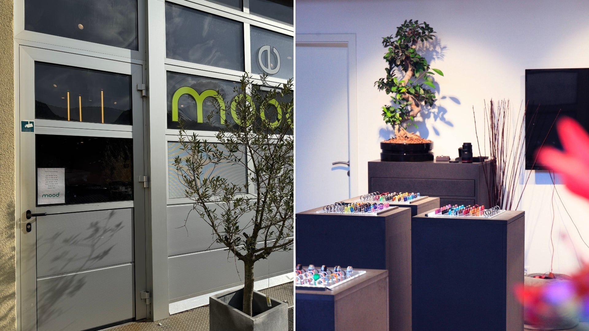 ️ 10 ans du Flagship Mood Store – Une histoire qui est aussi la vôtre ...