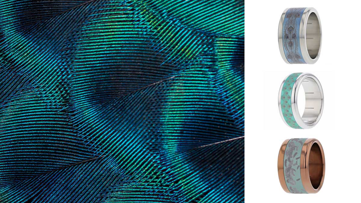 Avem – Mood Collection